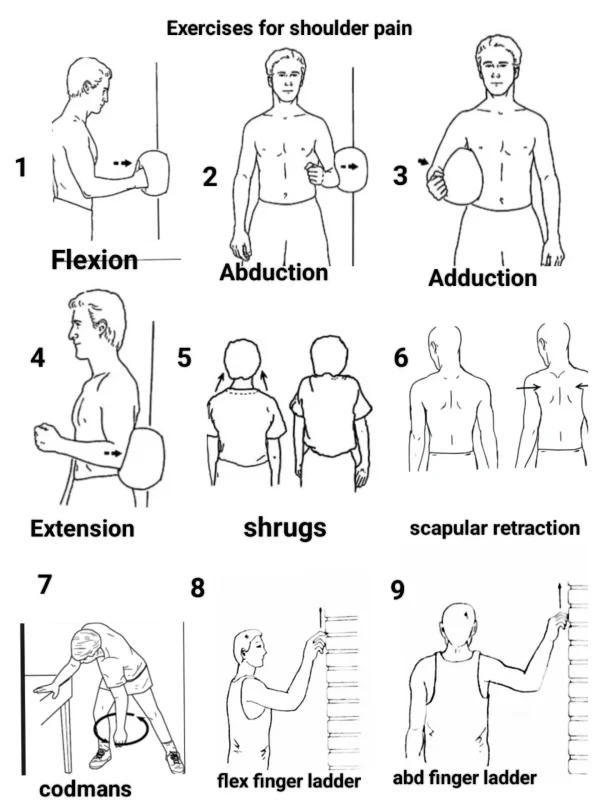Exercises for Shoulder Pain | Best Physiotherapy Services